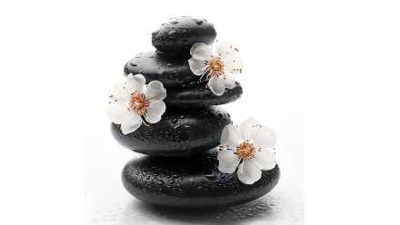 Book Hot Stone Massage — Spa Bali Moon in Seminyak